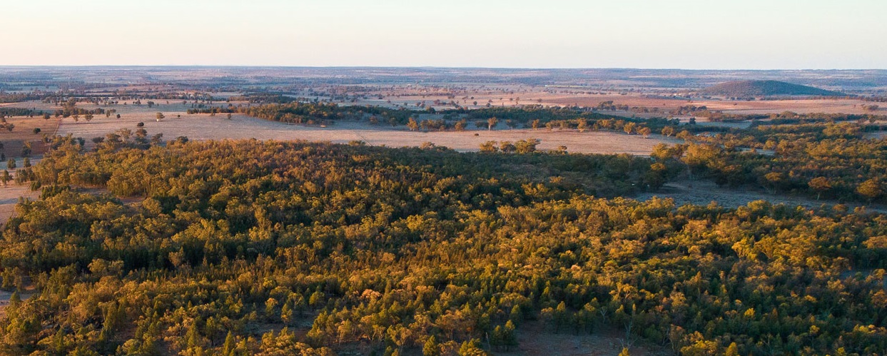 ASM's Rare Earths Leadership and CEO Rowena Smith's Global Vision ...